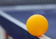 Olahraga Tenis Meja - Pengertian, Sejarah, Teknik, Tujuannya